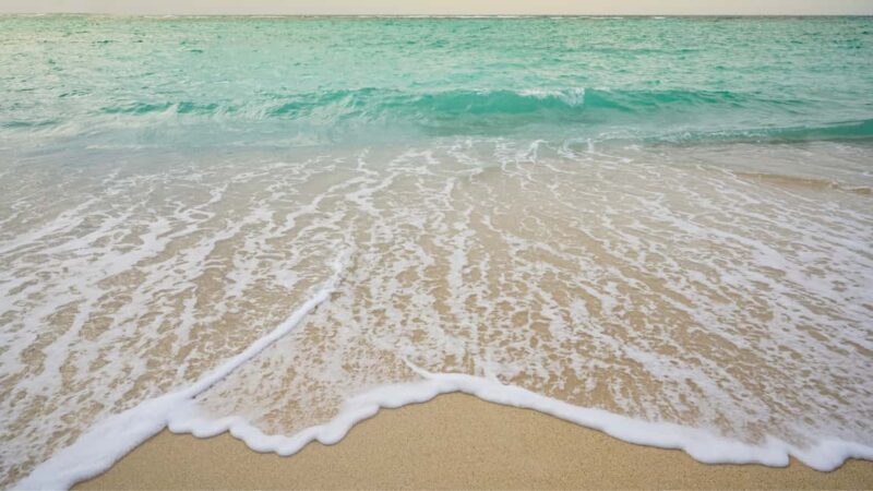 Punta Cana: Saona Island Tour & catamaran food & open Bar - Wrapping It Up