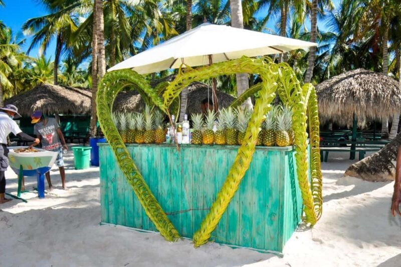 Punta Cana: Saona Island Tour with Transportation - Value and Pricing Analysis