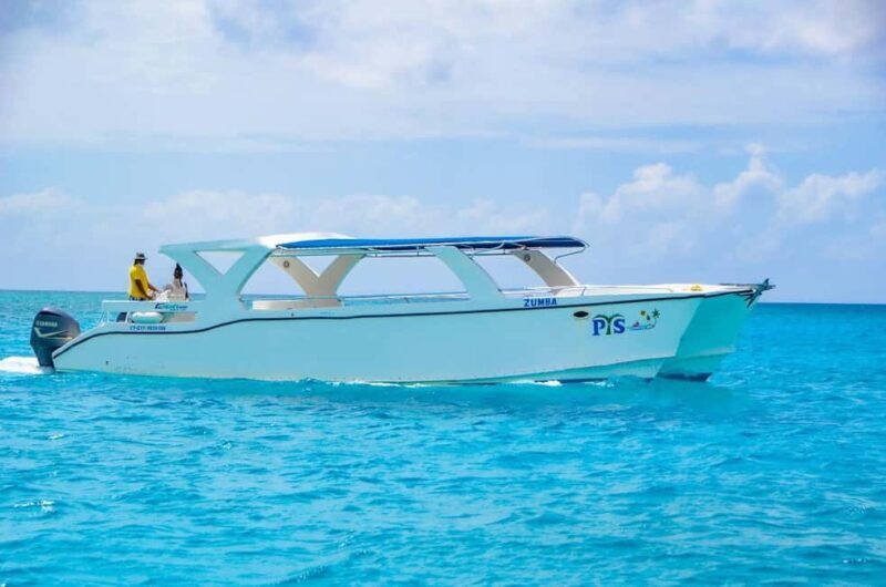 Punta Cana: Saona Island Tour with Transportation - Who Will Love This Tour?