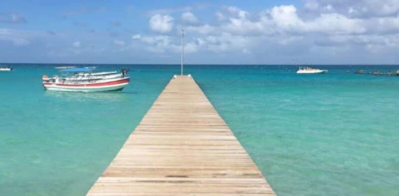 Punta Cana: Saona Island VIP Catamaran Tour with Lunch - Who Will Enjoy This Tour?