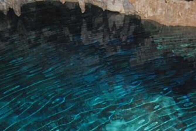 Punta cana scenic tour with lunch horses and cenote - What Travelers Say