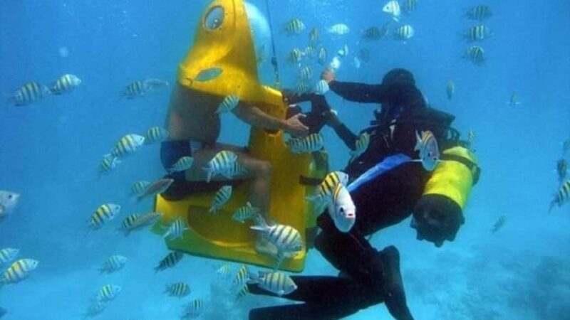 Punta Cana: Scoba Doo Discover the Underwater Wonders - Who Should Consider This Tour?
