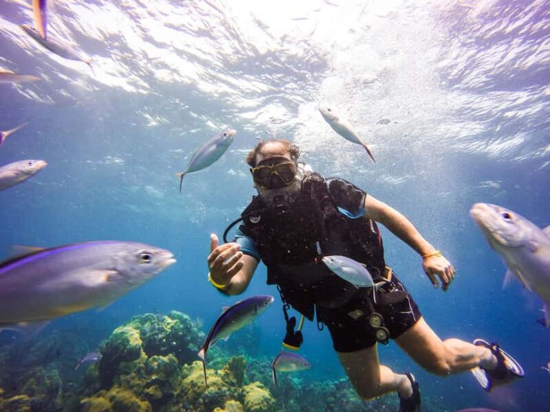 Punta Cana: Scuba Diving Adventure to Catalina Island - Key Points