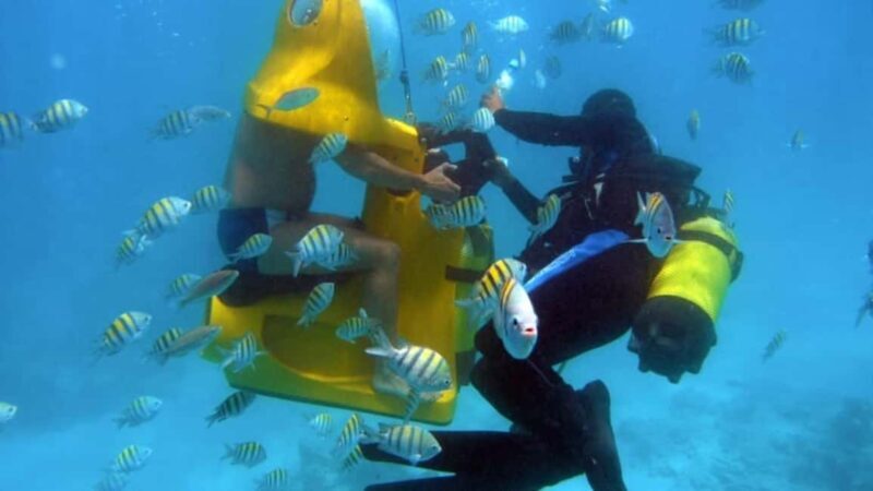Punta Cana: ScubaDoo Underwater Scooter Adventure - What to Expect from the Punta Cana ScubaDoo Adventure