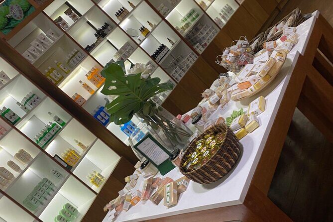 Punta Cana Shopping Tour Local Markets and Souvenirs - The Experience at Each Stop