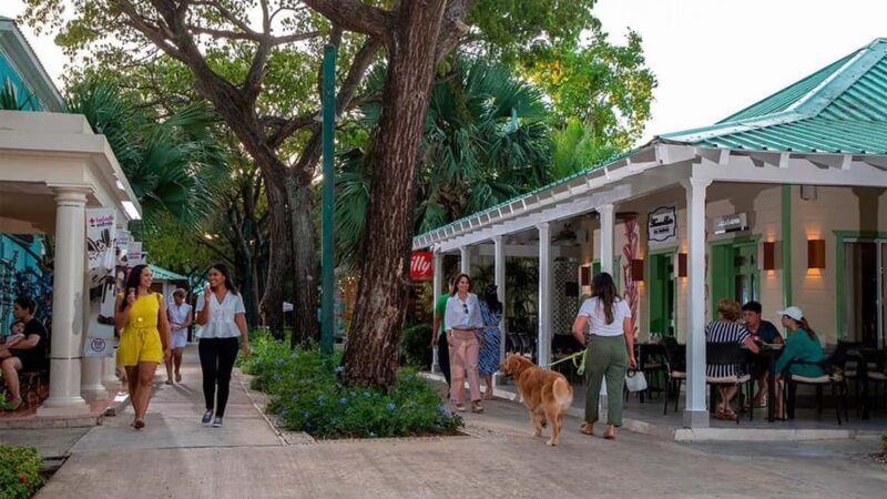 Punta Cana: Shopping Tour with Tastings and Hotel Pickup - What to Expect from the Tour