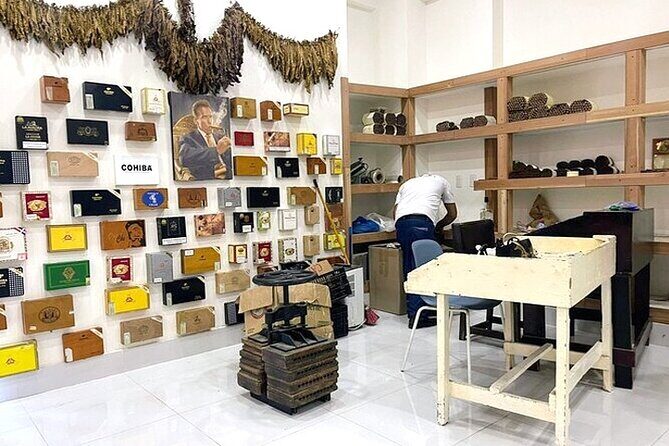 Punta Cana Souvenir Shopping Tour with Free Pickup - Summary: Who Should Take This Tour?