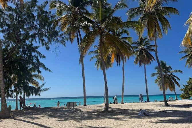 Punta Cana Speed Boat to Saona Island with Lunch & Natural Pools - FAQs