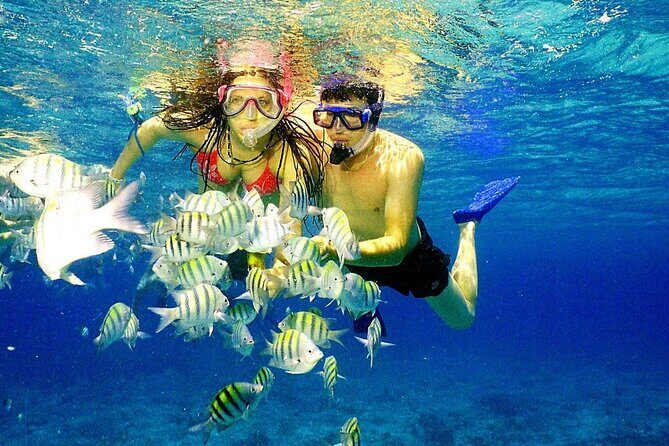 Punta Cana Speed Boat Tour and Snorkeling - The Speedboat Ride: A Wave of Excitement