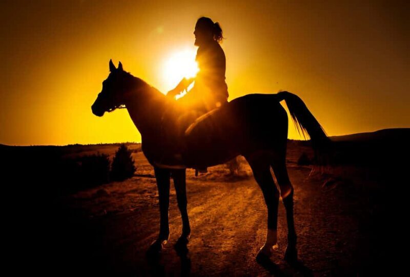 Punta Cana: Sunset Horseback Ride in Macao Beach and Forest - The Unique Appeal of the Sunset