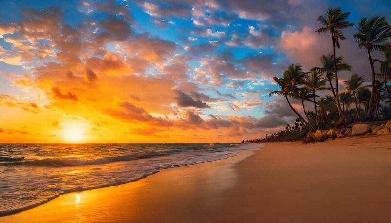 Punta Cana: Sunset Horseback Ride in Macao Beach and Forest - Final Thoughts