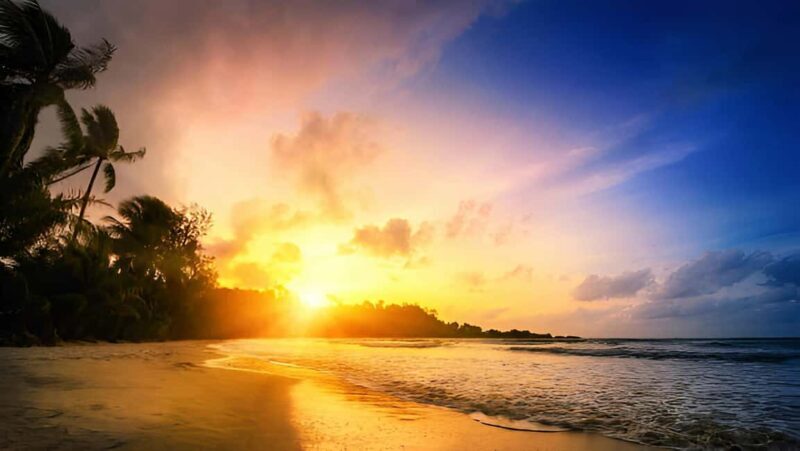 Punta Cana: Sunset Horseback Ride in Macao Beach and Forest - Who Will Love This Experience?