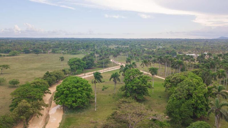 Punta Cana: Thrilling Off-Road Buggy Adventure - Comparing Similar Experiences