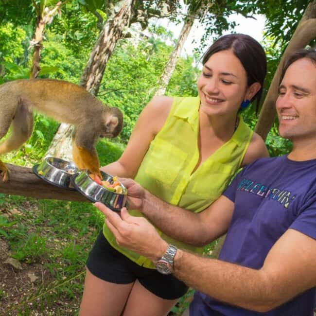 Punta Cana: Tour Aventura con Monos con Recogida en el Hotel - Who Should Consider This Tour?