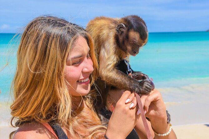 Punta Cana Tour in Atv + Horseback Riding Pick up Hotel - The Bottom Line: Is It Worth It?