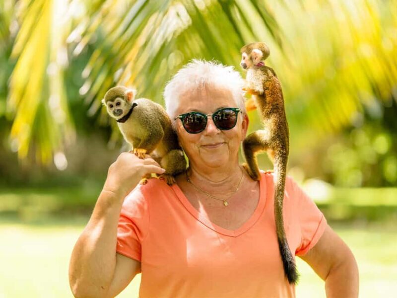 Punta Cana: Tour Monkey Adventure With Hotel Pick Up - Who Will Love This Tour?
