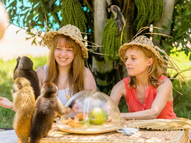 Punta Cana: Tour Monkey Adventure With Hotel Pick Up - Final Thoughts