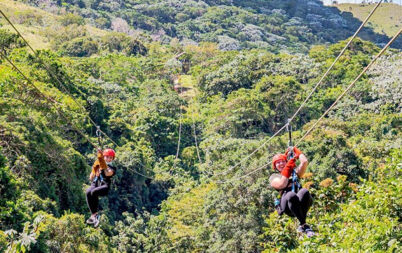 Punta Cana: Triple Jungle Adventure Park Tour with Tastings - Authentic Insights and Traveler Perspectives