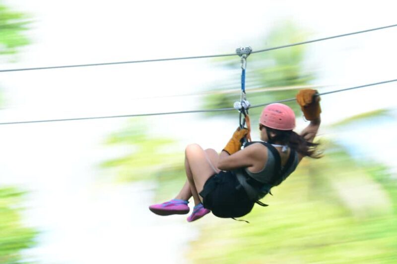 Punta Cana: Triple Jungle Adventure Park Tour with Tastings - Final Thoughts: Who Will Love This Tour?