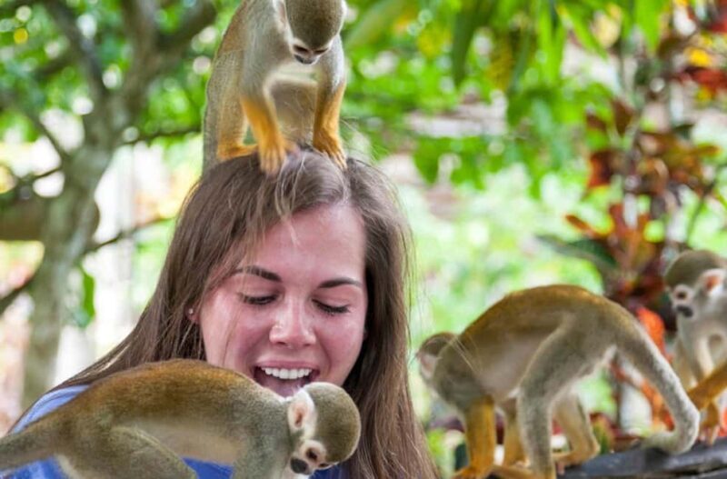 Punta Cana: Triple Jungle Adventure Park Tour with Tastings - FAQ