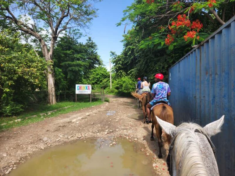 Punta Cana: Uvero Alto Beach Horseback Riding Tour - An In-Depth Look at the Uvero Alto Beach Horseback Riding Tour