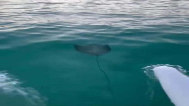 Punta Cana: Water Bike Tour with Snorkeling and Lunch - Final Thoughts