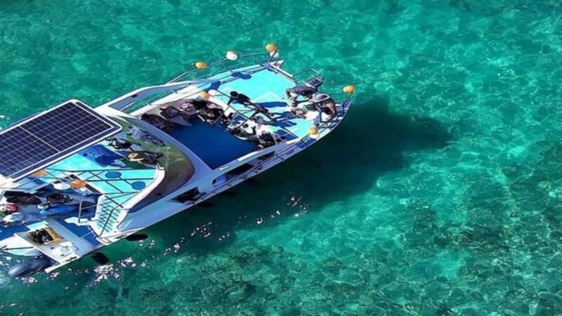 Punta Cana: Whale Watching, Cayo Levantado & Waterfall - The Full-Day Itinerary: From Rural Roads to Waterfalls and Beaches