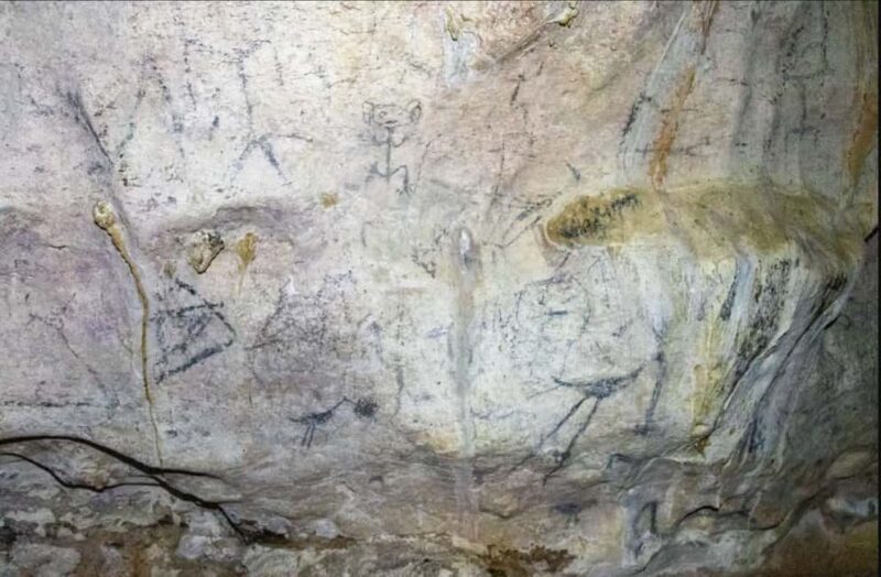 Punta Cana: Whale Watching & Los Haitises Park Sailing Tour - Key Points