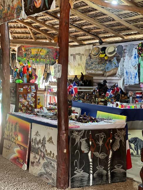 Punta Cana: Wild Off-Road Dune Buggy Adventure - Final Thoughts: Who Will Love This Tour?