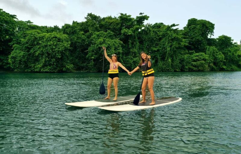 Punta Cana: Xploration Animal Park Bus Tour with Encounters - A Closer Look at the Tour Itself