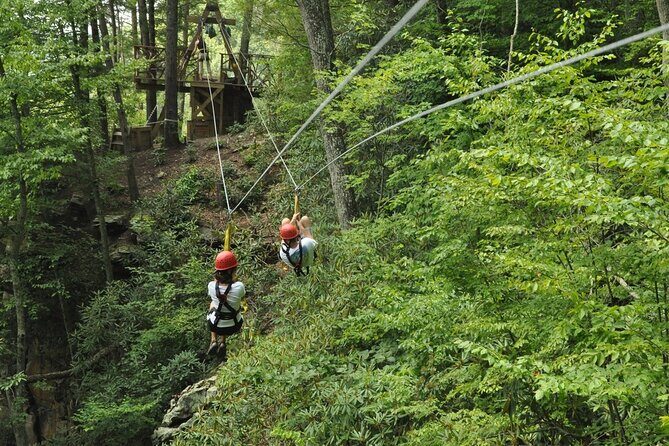 Punta Cana Ziplining Adventure Experience - Why This Tour Offers Great Value