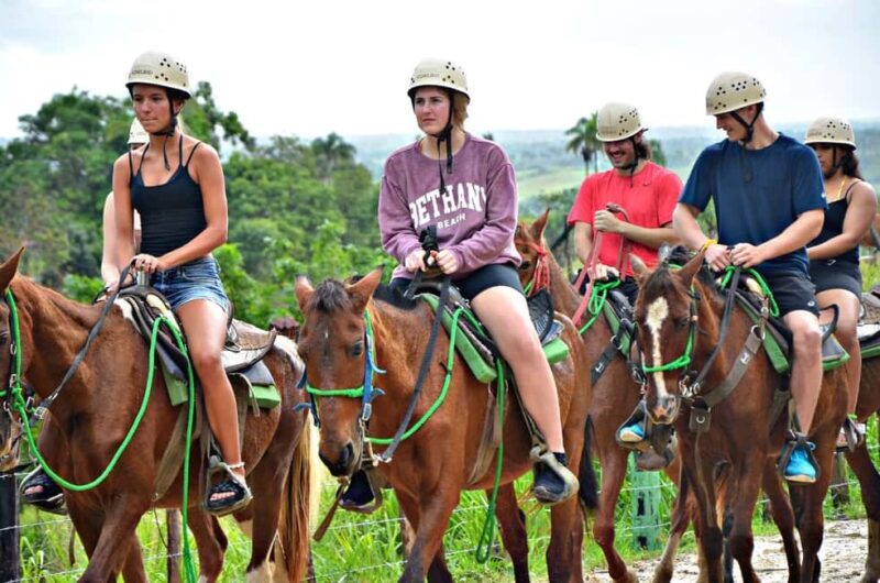 Punta Cana:Paseo en buggie ,caballo y ziplines en la selva - Key Points