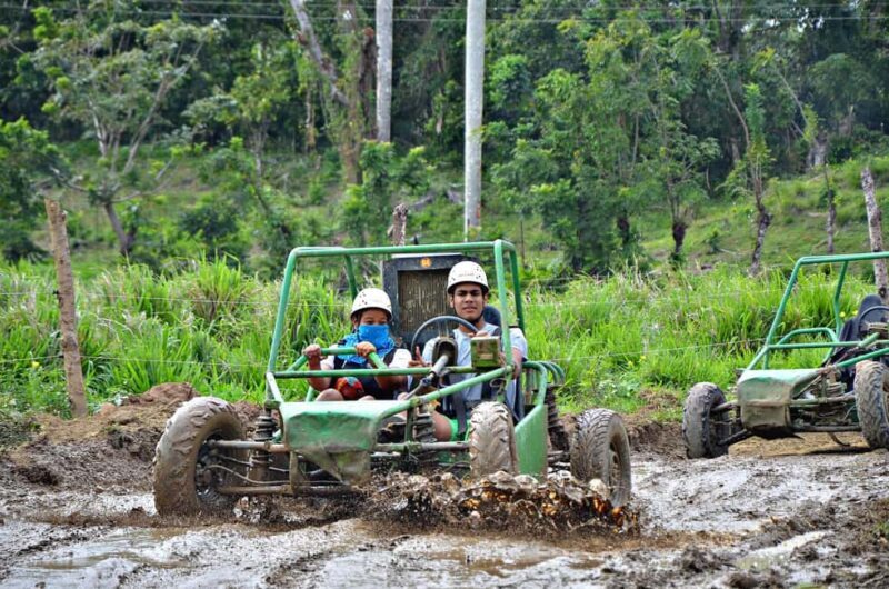 Punta Cana:Paseo en buggie ,caballo y ziplines en la selva - What the Reviews Say