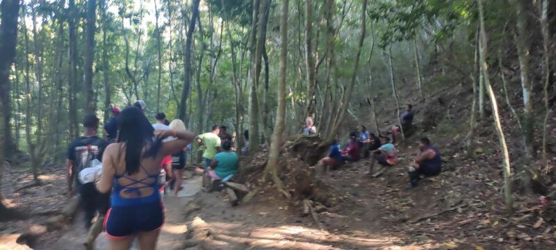 Punta Cana:Samaná Bay,Bacardí Island and El Limón Waterfall - Authentic Experiences and Honest Feedback