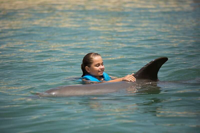 Punta Cancun: Swim with dolphins Harmony - Authenticity and Experience
