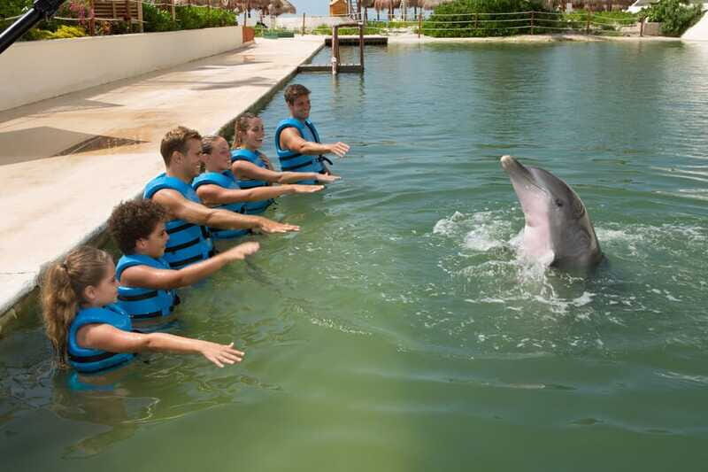 Punta Cancun: Swim with dolphins Interax - The Location and Practical Details