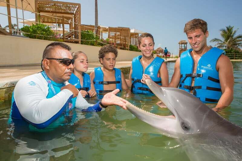 Punta Cancun: Swim with dolphins Primax - Key Points