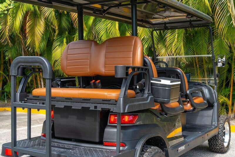 Punta de Mita Golf Cart Rentals - Is This for You?