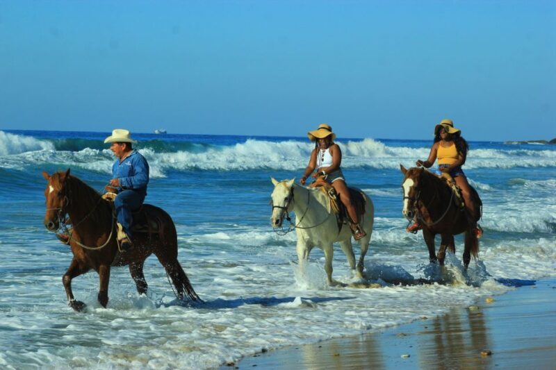 Punta de Mita/Sayulita: Horseback Riding Tour - The Sum Up