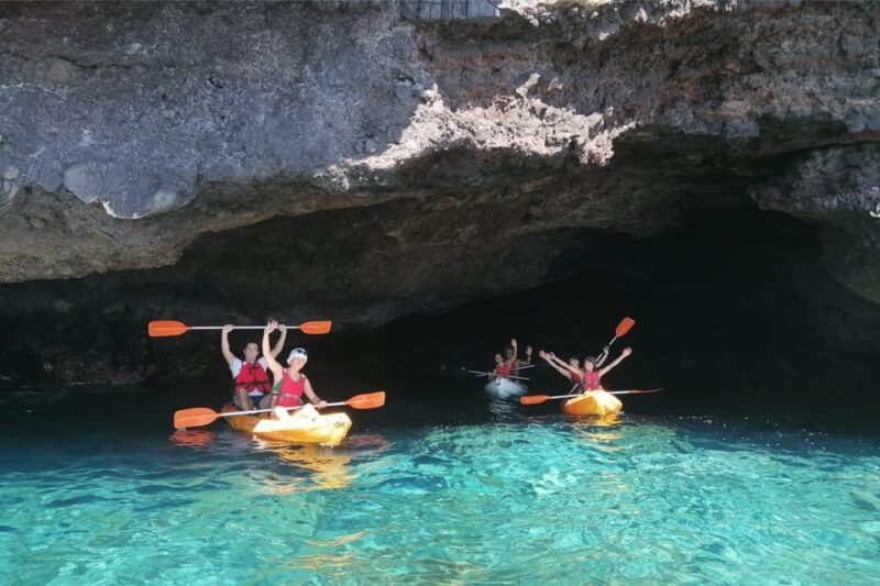 Punta de Teno: Kayak Safari overlooking Los Gigantes Cliffs - Accessibility and Practical Tips