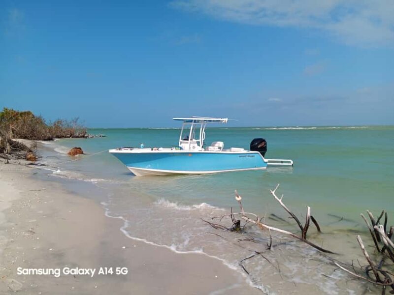 Punta Gorda/Boca Grande: Cayo Costa State Park Boat Tour - The Experience: What You Can Expect