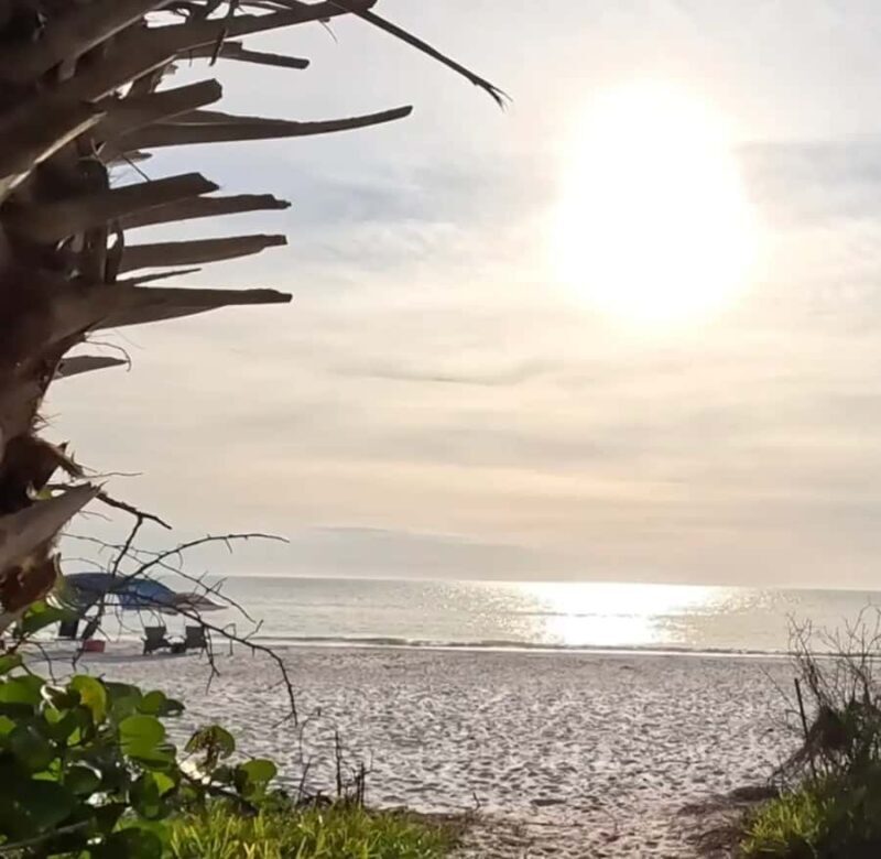 Punta Gorda: Gulf Coast Sunset Boat Tour - What to Expect on Your Gulf Coast Sunset Cruise