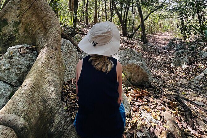 Punta Laguna Tour: Spider Monkey Reserve, cenote, canoe - Key Points