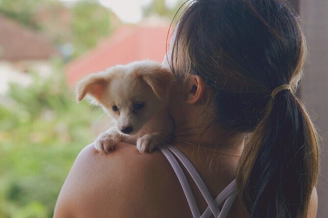 Puppy Yoga Bali, Ubud - 1 Thing to Do in Bali - Key Points