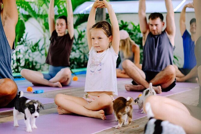 Puppy Yoga in Bali Canggu - What to Expect from Puppy Yoga in Bali Canggu