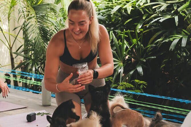 Puppy Yoga in Bali Canggu - Authentic Reviews and Real Experiences