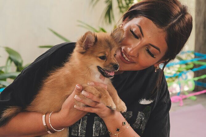 Puppy Yoga in Bali Canggu - FAQs