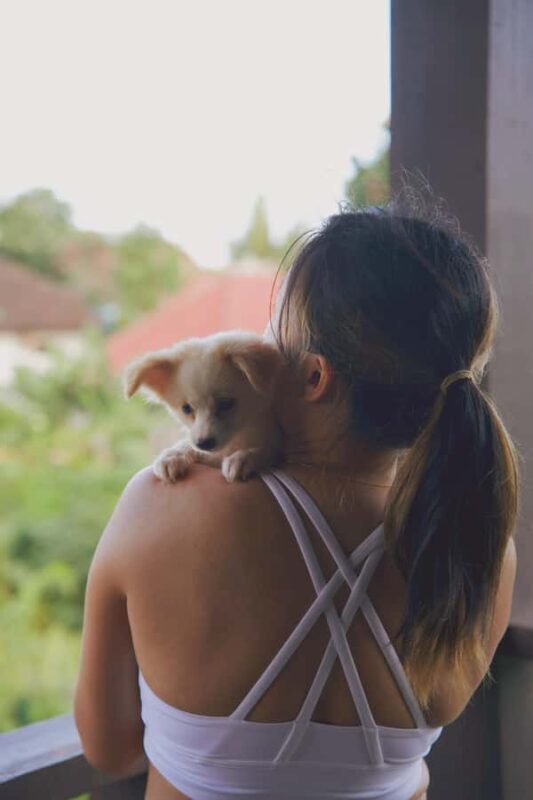 Puppy Yoga in Bali, Ubud & Uluwatu - Key Points