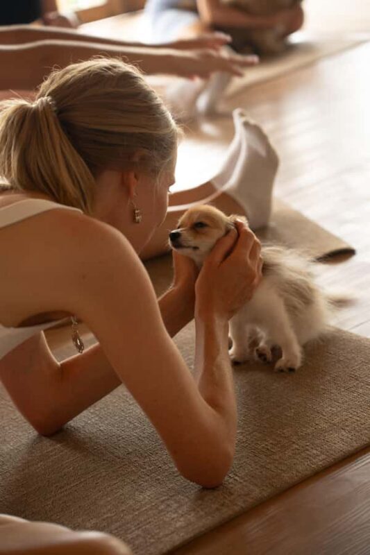 Puppy Yoga in Bali, Ubud & Uluwatu - FAQ