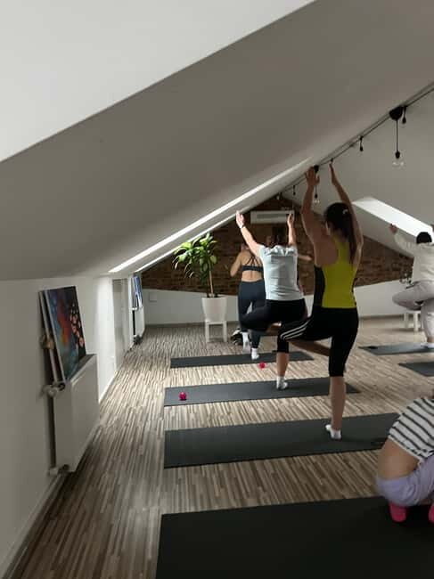 Puppy Yoga in Riga - Key Points
